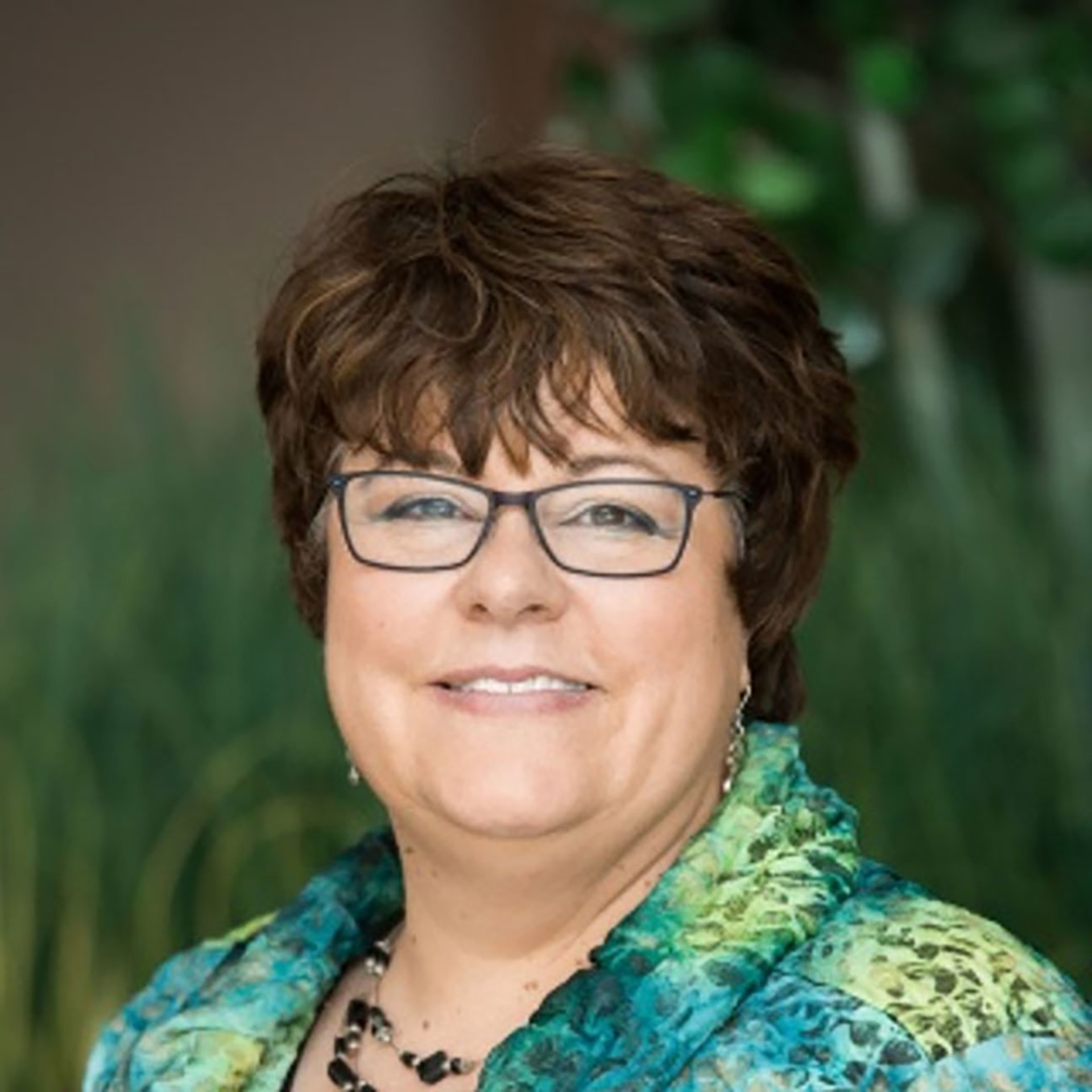 Our Organization | University College - The University of Iowa